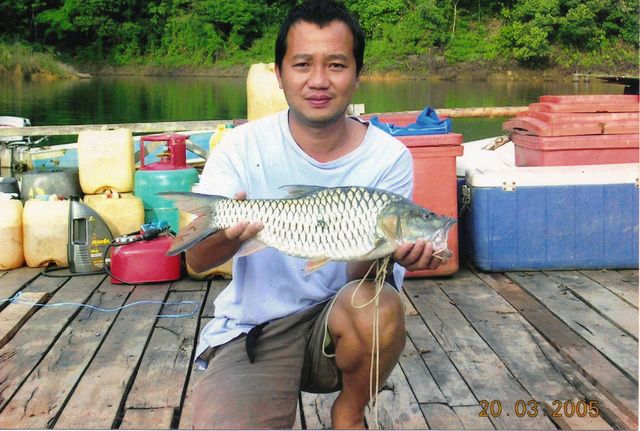 GoFish Corner: Hello....... My First Encounter With Sebarau